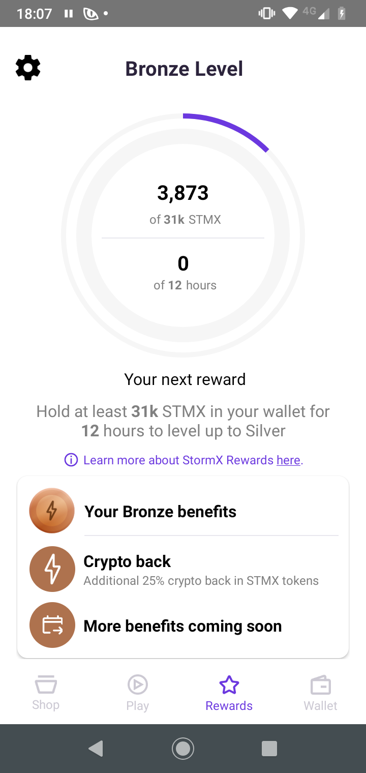 Stormx Reward Levels – Bronze – Spare Time Income